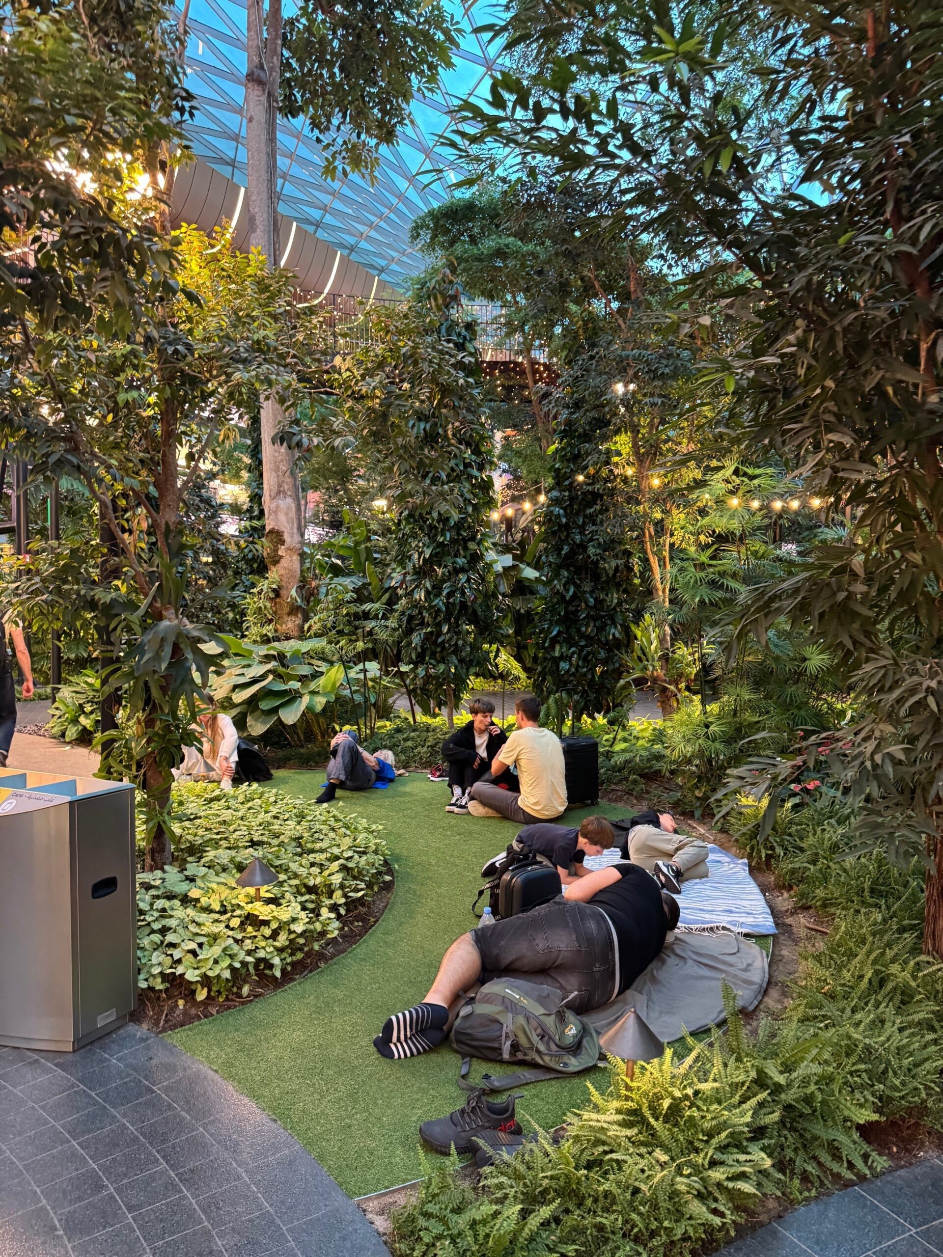 Planterra • Biophilia in Architecture: A Guide for Modern Commercial ...